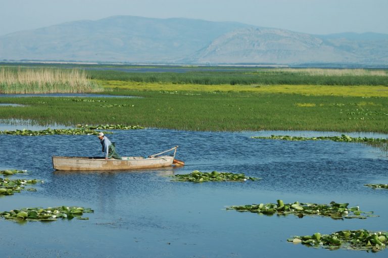 Conservation Actions Classification (V1.0) - The Open Standards for the ...