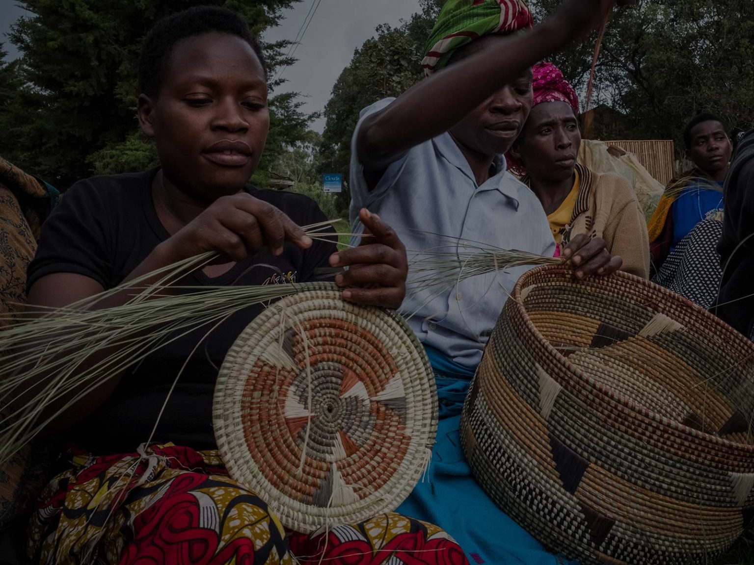 The Open Standards for the Practice of Conservation