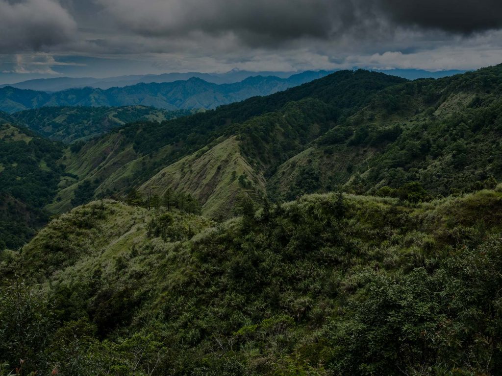 The Open Standards for the Practice of Conservation