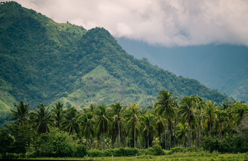 Mt. Mantalingahan Protected Landscape - The Open Standards for the ...