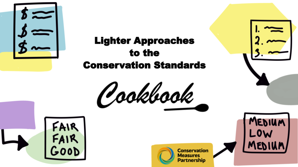 About Conservation Standards (CS)