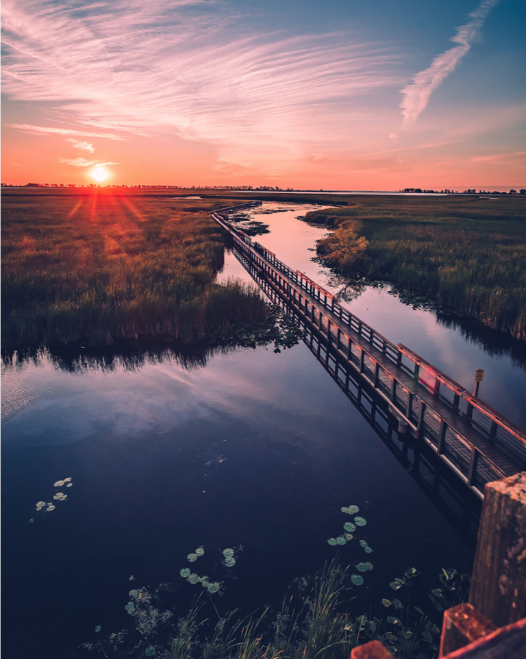 The Great Lakes' largest marsh: a case study in Point Pelee - The Open ...