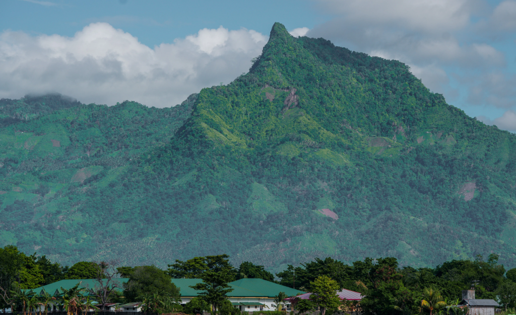 Safeguarding the important Mount Mantalingahan landscape - The Open ...