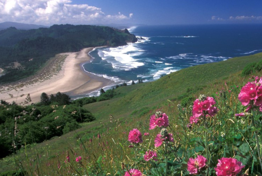 News & Events - The Open Standards for the Practice of Conservation