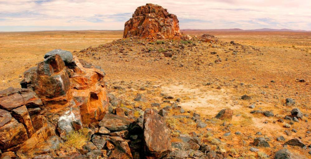 10 years of bolstering Boolcoomatta with Bush Heritage - The Open ...