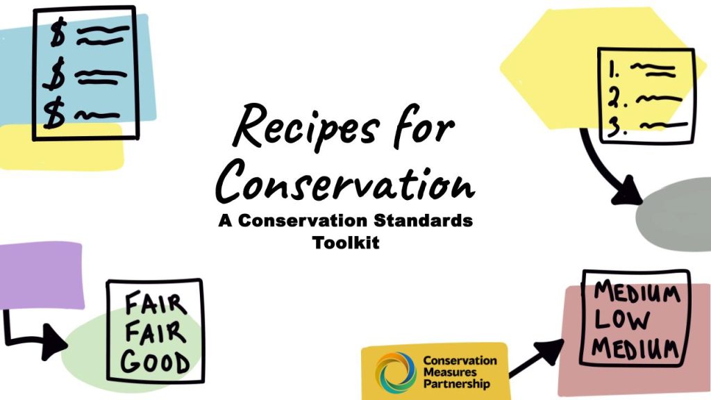 About Conservation Standards (CS)